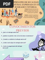 El Principio de Igualdad Expresando El Sufragio Universal | PDF