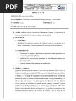 Medio MIO | PDF | Enzima | Química