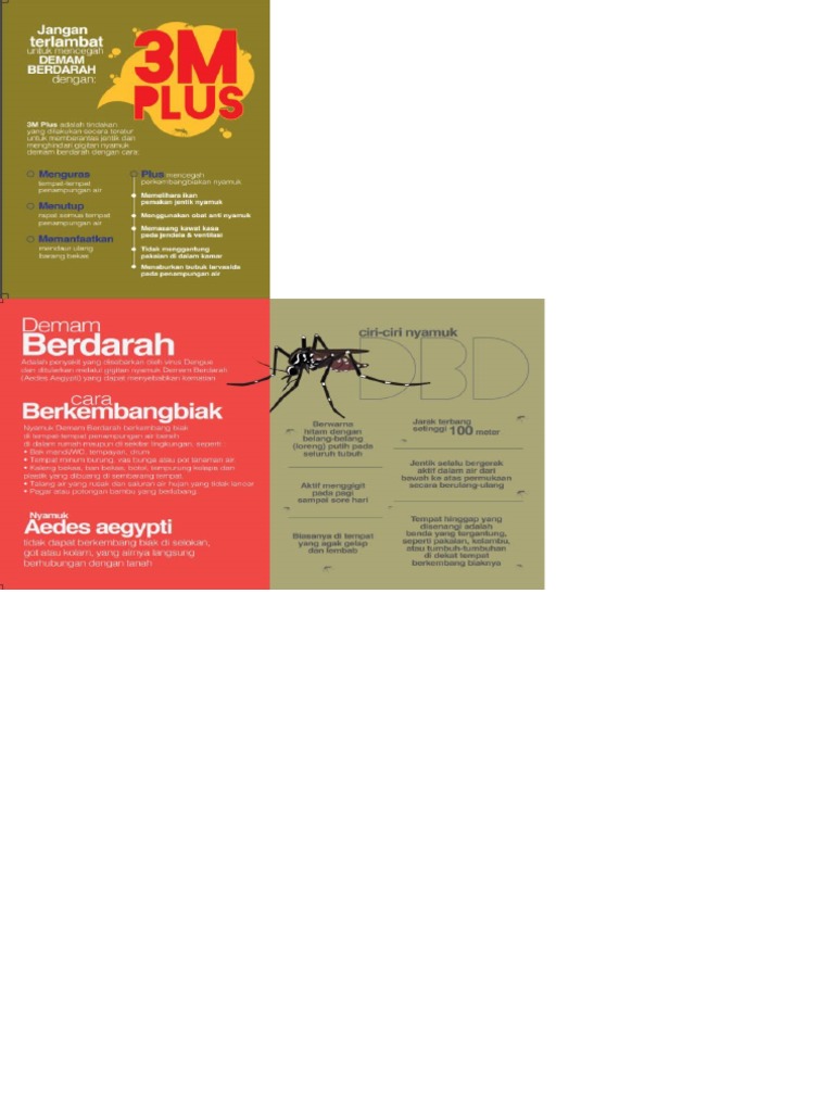 Leaflet Kemenkes DBD | PDF