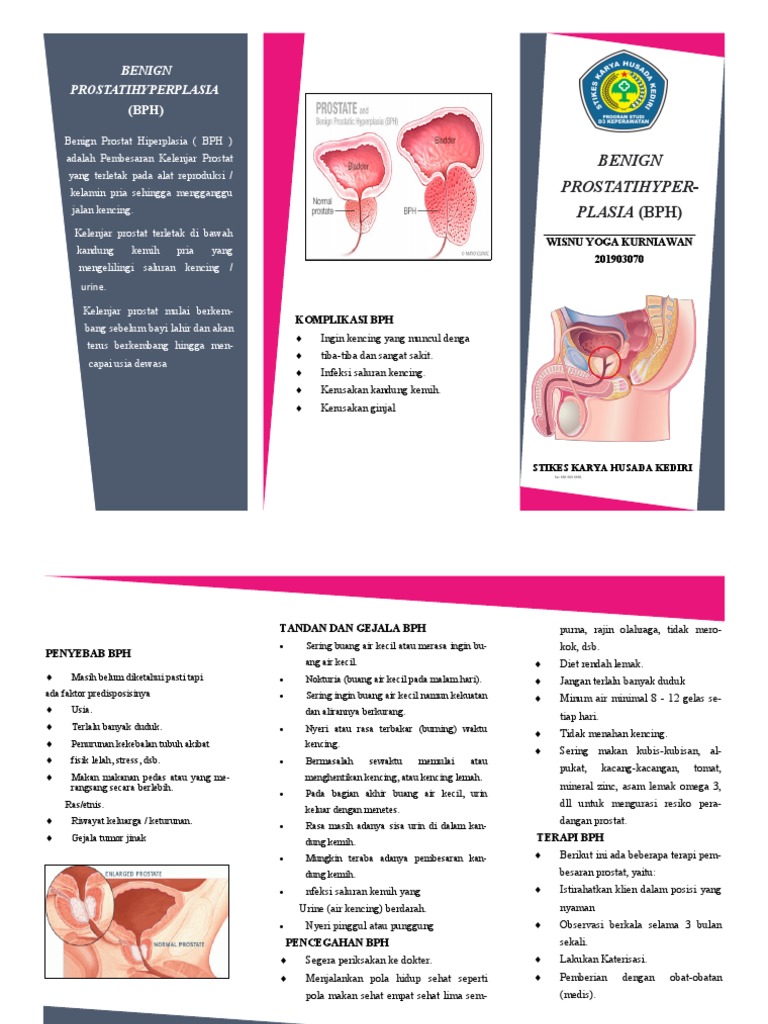 Pengertian dan Terapi BPH | PDF