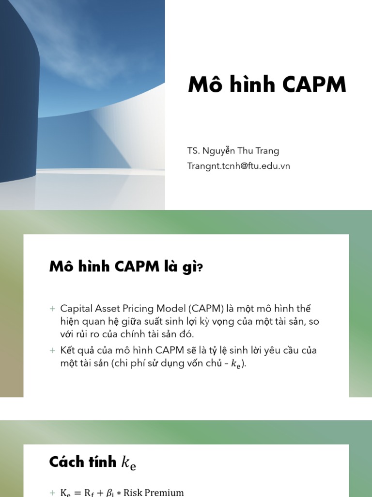 Topic 2 - Mô Hình CAPM | PDF