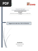 Organigramme Et Filiales de OCP | PDF