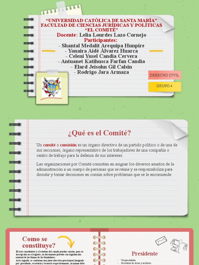 El Comite Diaspositiva | PDF | Bienes (Ley) | Gobierno