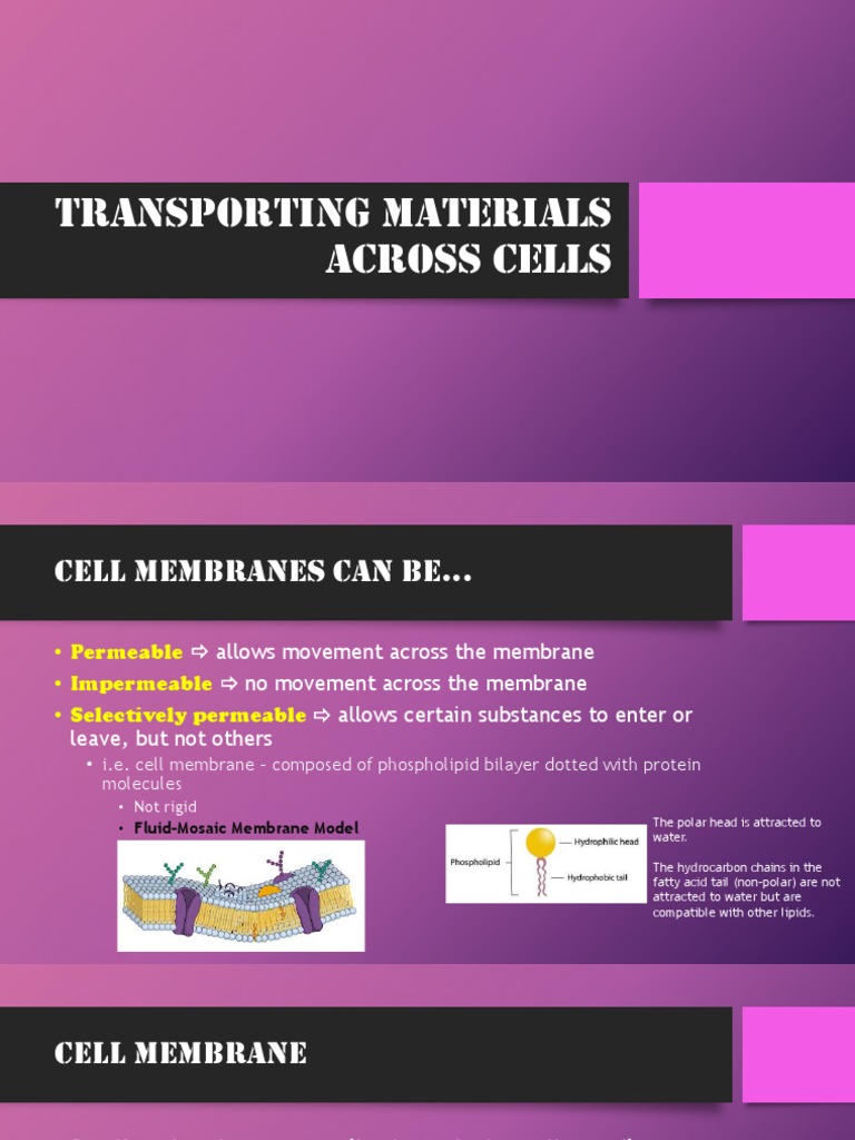 Lesson #7 - Transporting Materials Across Cells | PDF | Cell Membrane ...