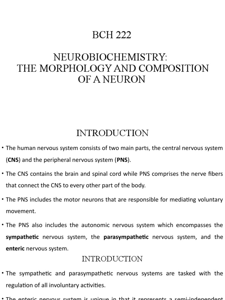 BCH 222 Neurobiochemistry: The Morphology and Composition of A Neuron ...