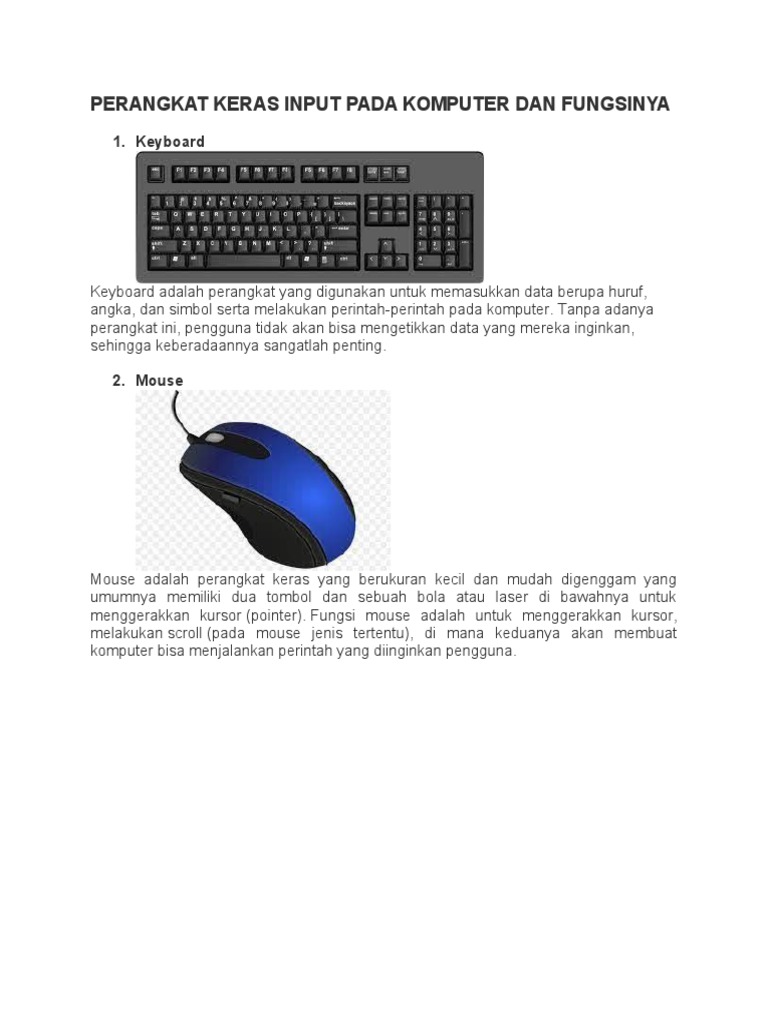 Perangkat Input Komputer | PDF
