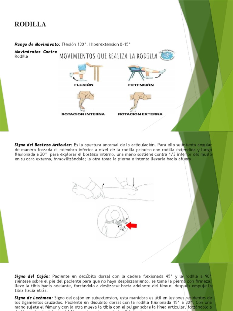 Evaluación de Clonus y Signos de Rodilla | PDF | Rodilla | Sistema ...