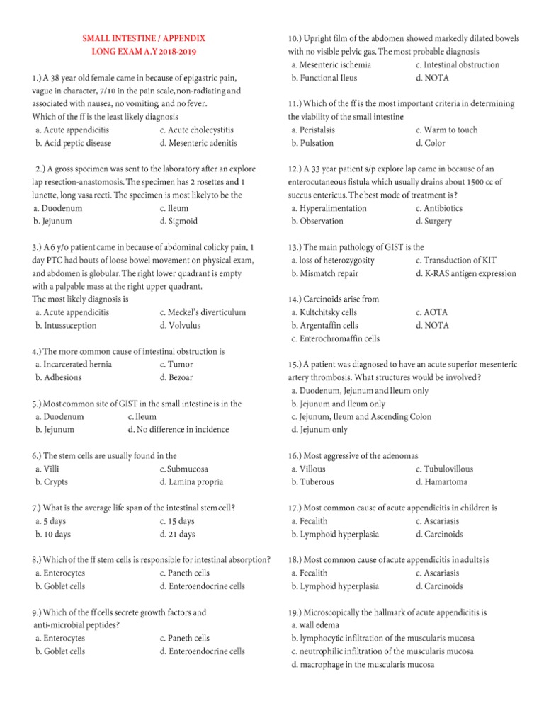 Small Intestine | PDF