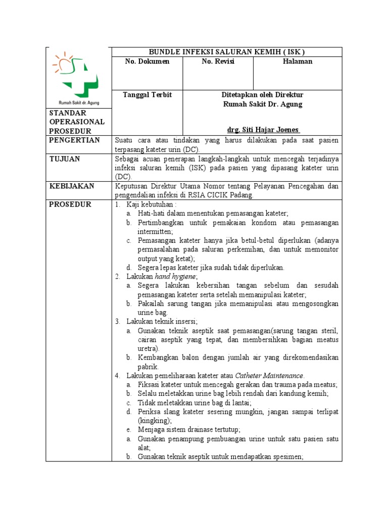 Spo Bundle Infeksi Saluran Kemih | PDF