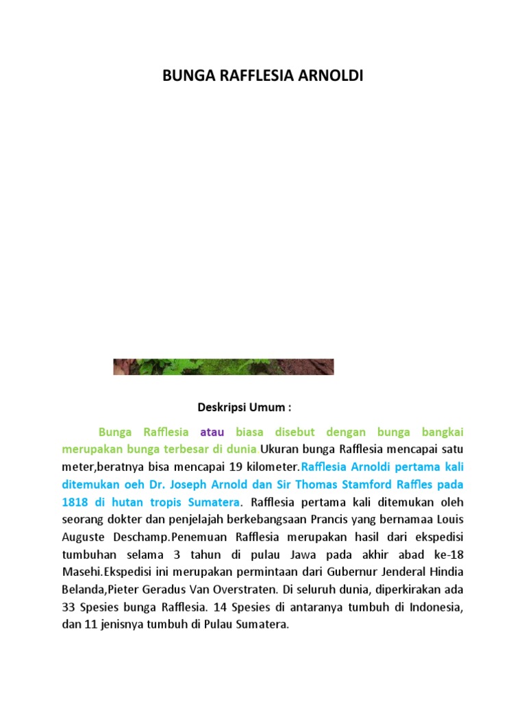 Bunga Rafflesia Arnoldi - 1 | PDF