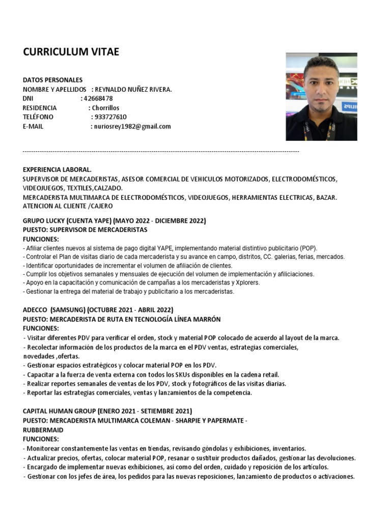 CV2023 | PDF | Videojuegos