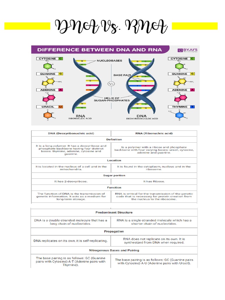 Dna and Rna Grade 10 Topics | PDF | Dna | Dna Replication