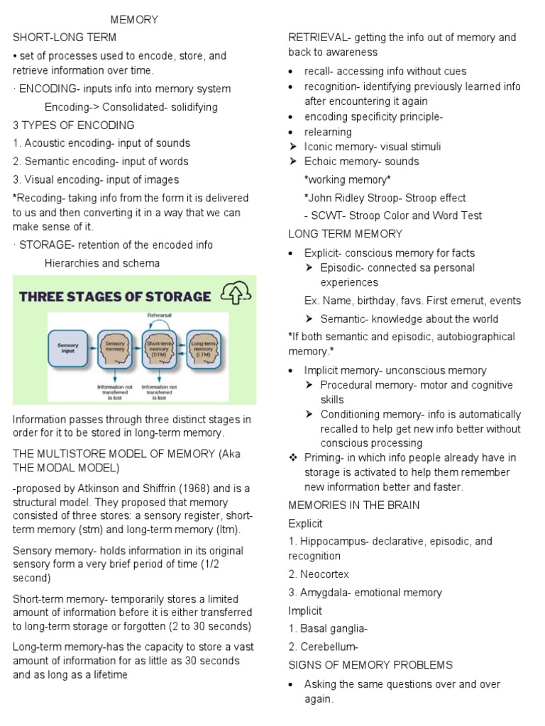 MEMORY Lesson 5 Reviewer | PDF | Memory | Recall (Memory)