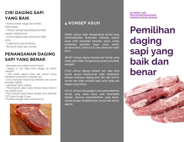 Ciri-Ciri Daging Sapi Berkualitas | PDF