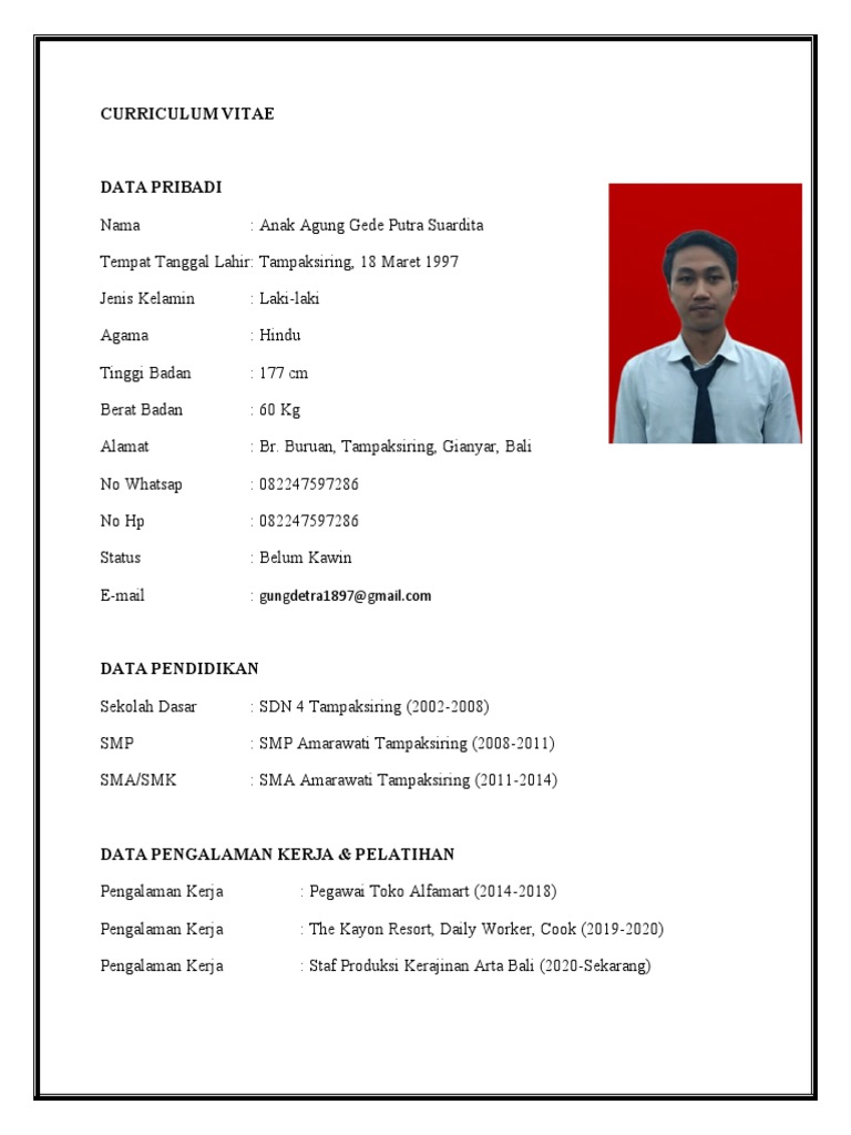 CV - Anak Agung Gede Putra Suardita | PDF