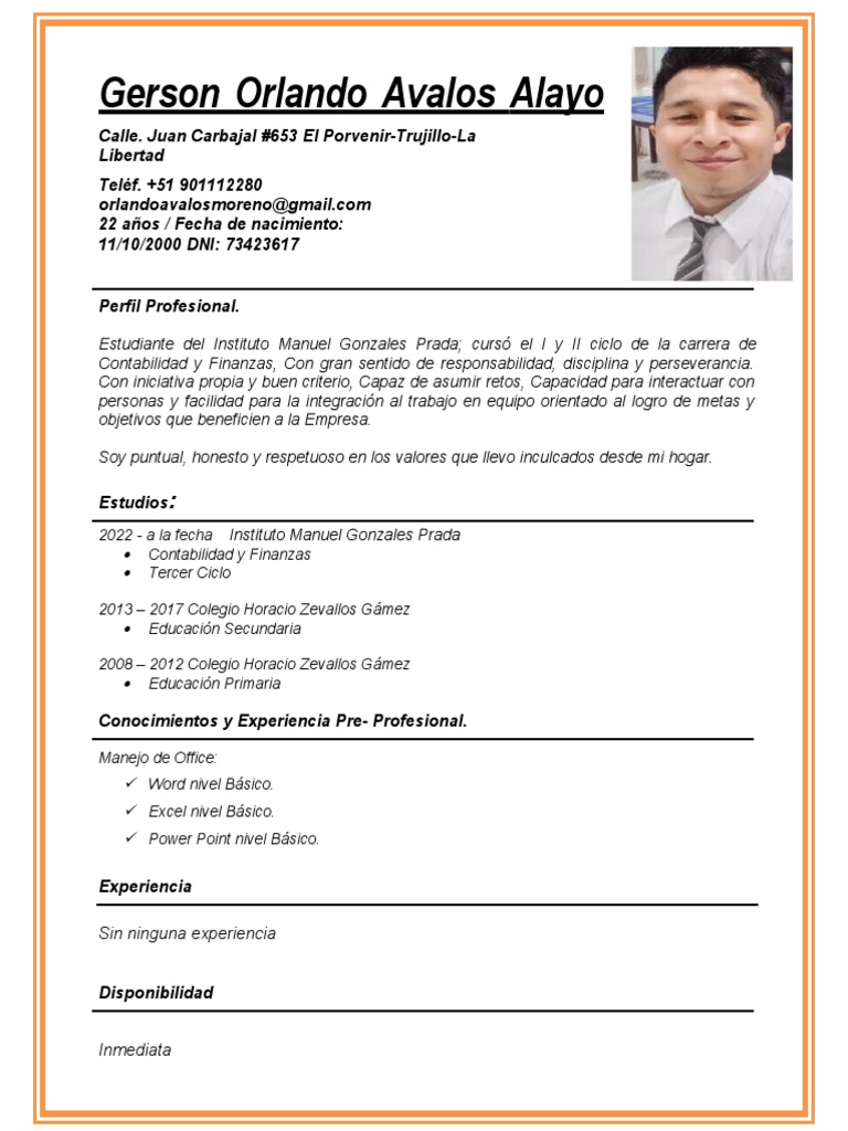 CV Gerson Orlando Avalos Alayo | PDF