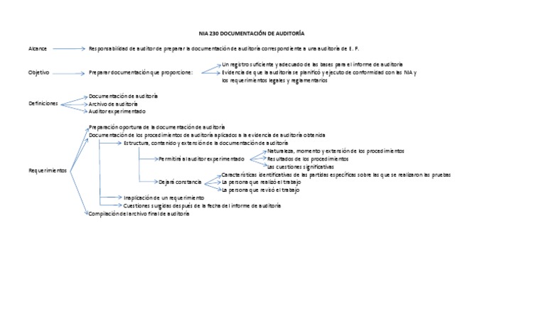 Documentación de Auditoría NIA 230 | PDF