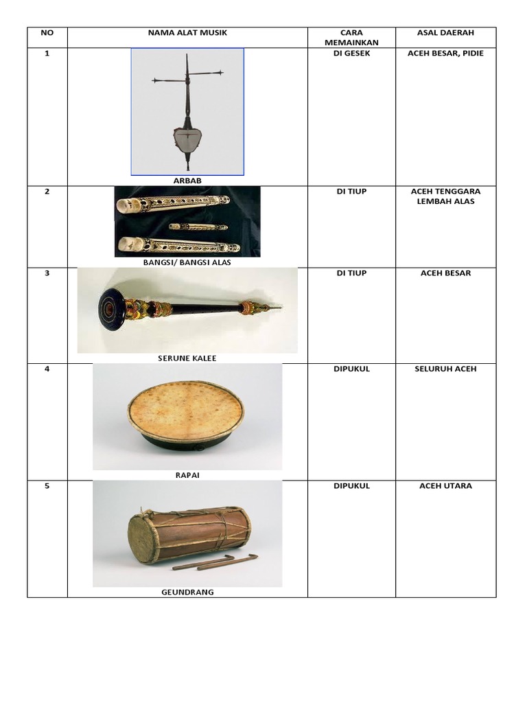 Alat Musik Aceh Tamiang | PDF | Memasak, Makanan, & Anggur