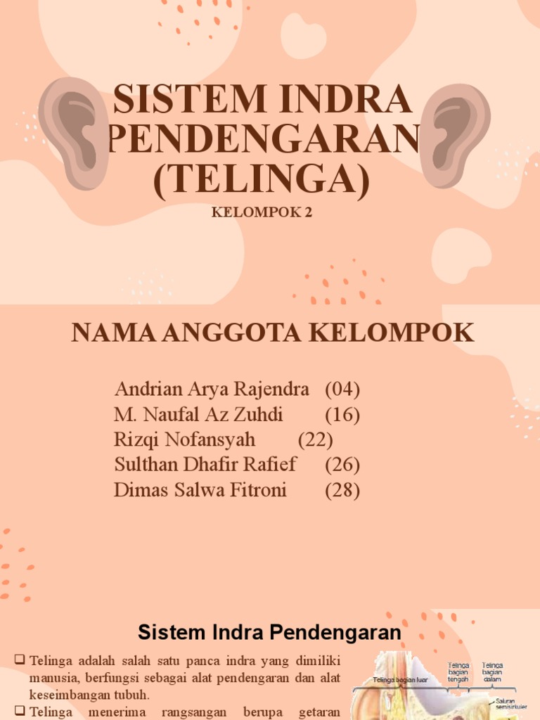 Sistem Indra Pendengaran (Telinga) : Kelompok 2 | PDF