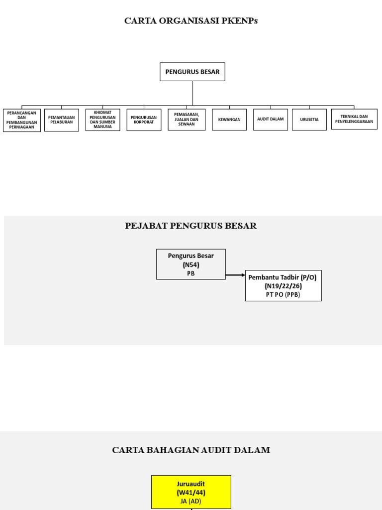 Carta Organisasi Pkenps: Pengurus Besar | PDF