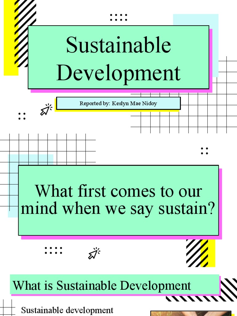 Sustainable Development | PDF
