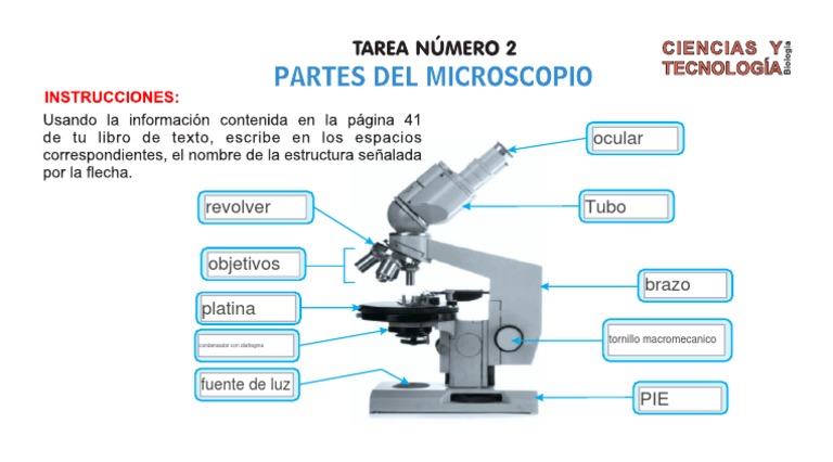 Partes Del Microscopio | PDF