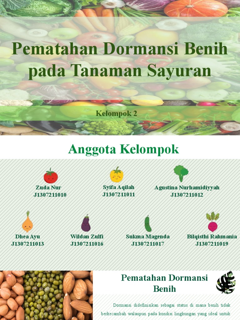 KELOMPOK 2 - Pematahan Dormansi Tanaman Sayuran | PDF