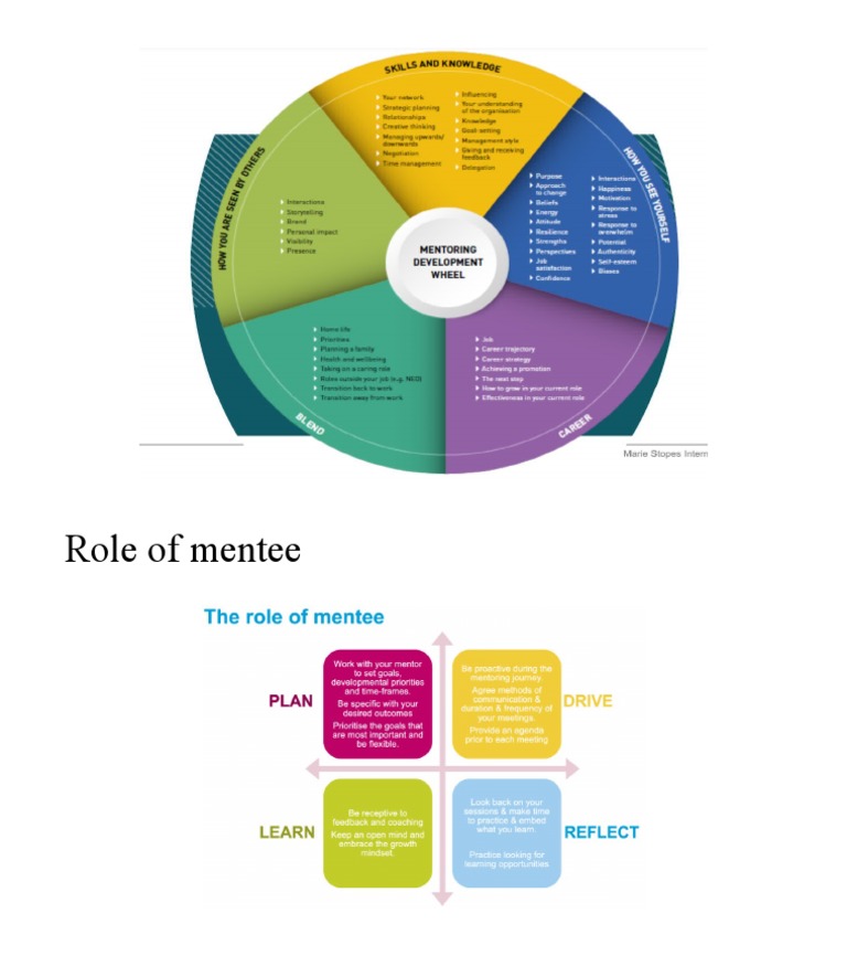 Mentee & Mentor Roles | PDF