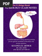 s1 Biology Notes | PDF | Tissue (Biology) | Microscope