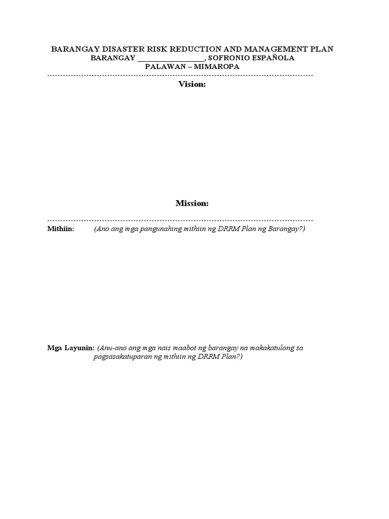 DRRM Sample Draft | PDF