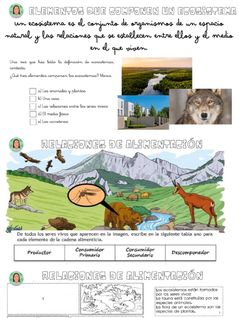 Fichas Ecosistemas Cuadernos | PDF