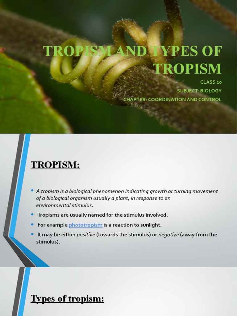 Tropism and Types of Tropism: Class 10 Subject: Biology Chapter ...