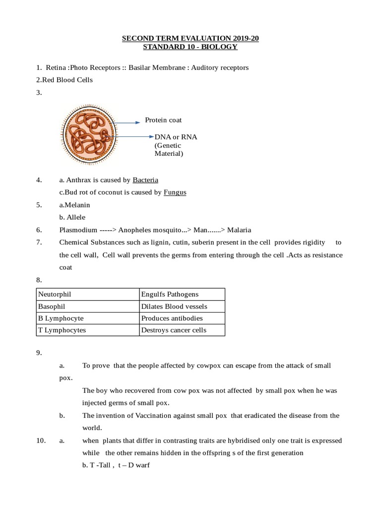 BIOLOGY Answer Key (EM) Kerala SSLC Second Term Christmas Exam Dec 2019 ...