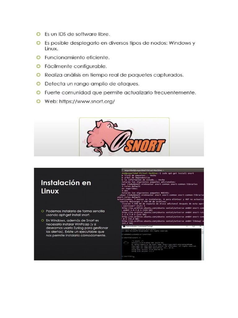 Snort Presentacion | PDF