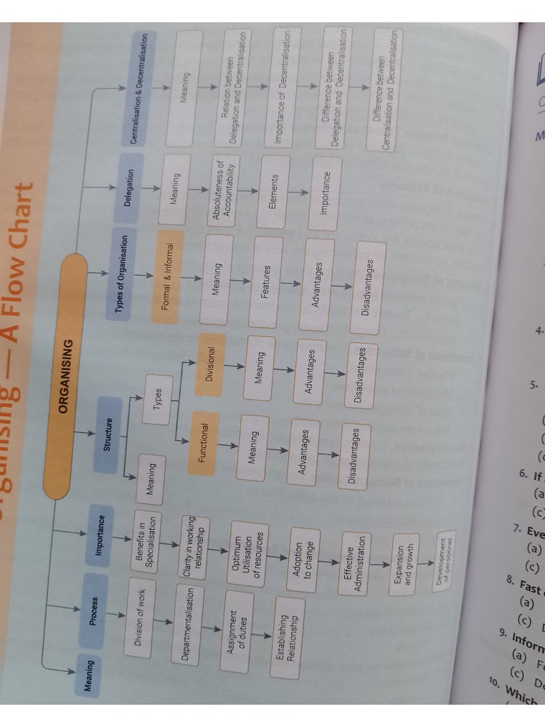 Organising A Flow Chart of Class 12 Business Studies | PDF