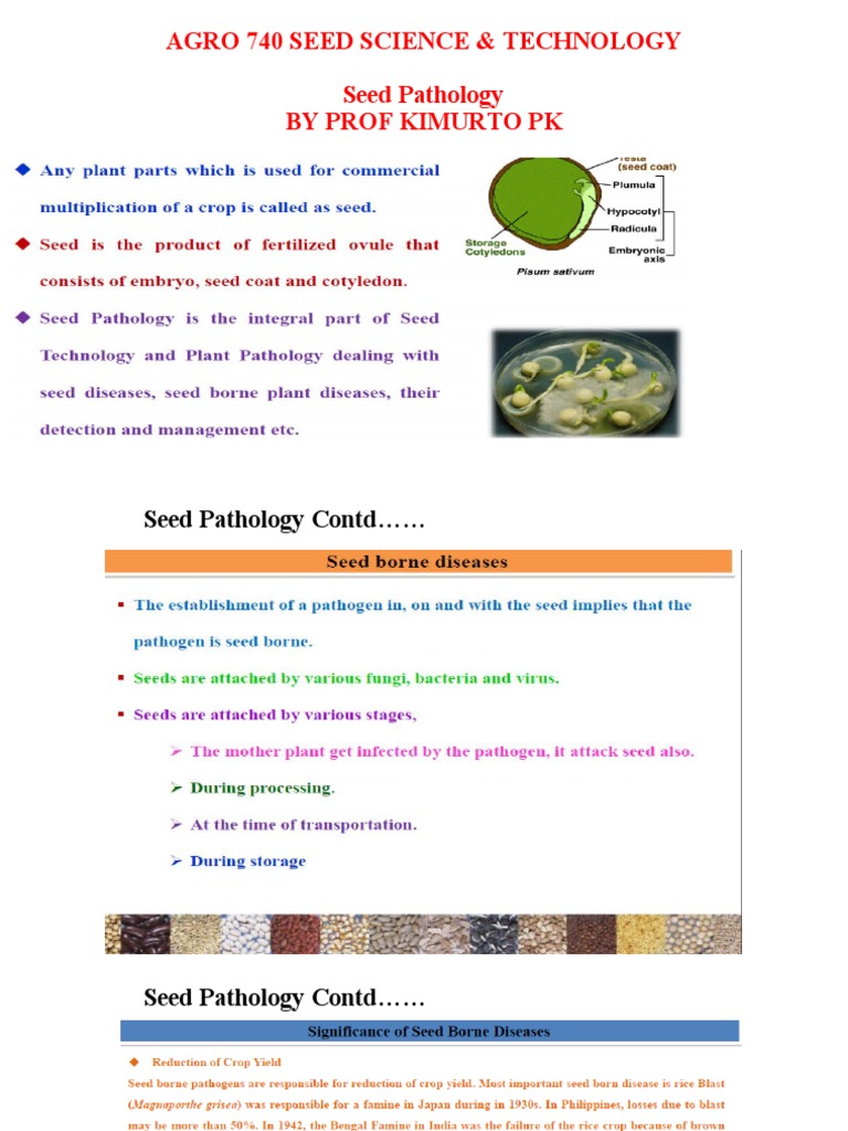 Seed Pathology and Health Testing | PDF