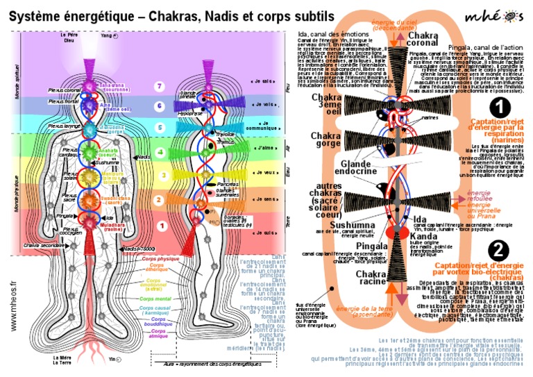Mhéos-Les Corps Énergétiques | Download Free PDF | Chakra | Organe
