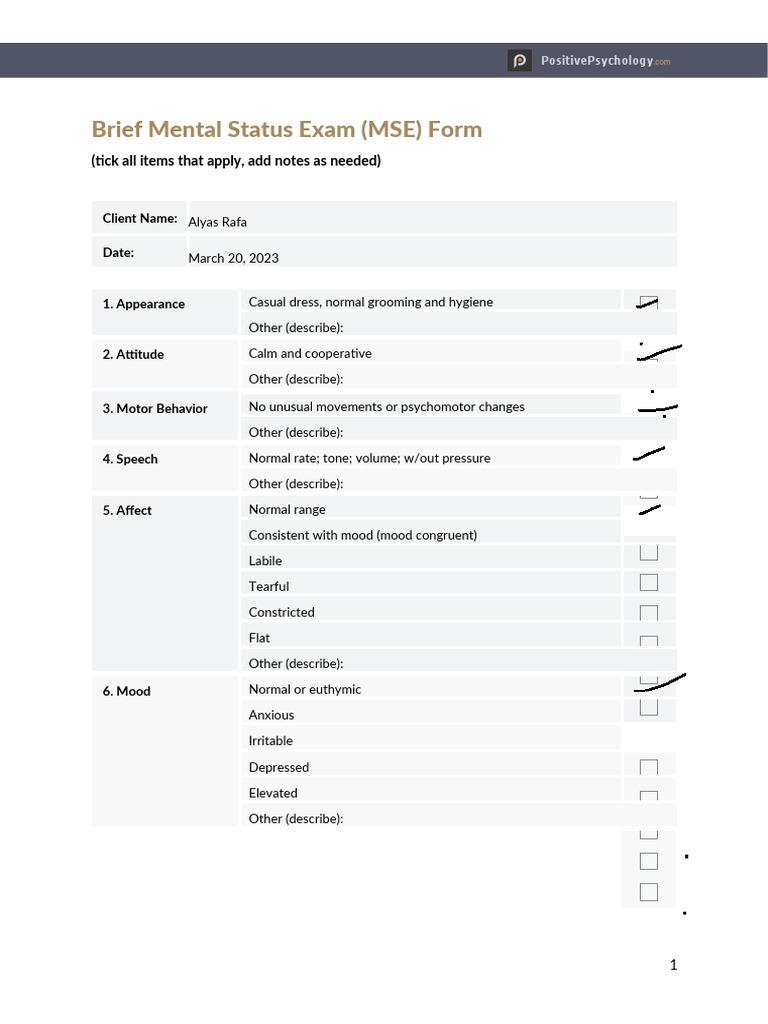 Brief Mental Status Exam MSE Form | PDF | Cognitive Psychology ...