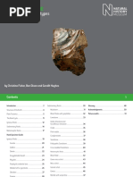 Simbol Batuan | PDF | Shale | Rock (Geology)