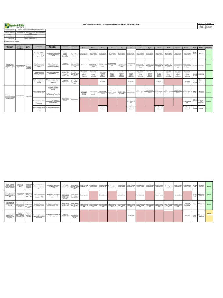 Plan Anual de Seguridad Y Salud en El Trabajo (Ssoma) Inversiones Roed Sac | PDF