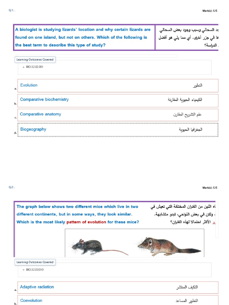 Grade 11A Term 2 sample questions 1 | PDF