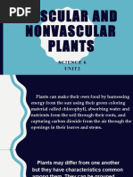 Amoeba Sisters_ Plants-Diversity, Structure & Adaptations Video | PDF ...