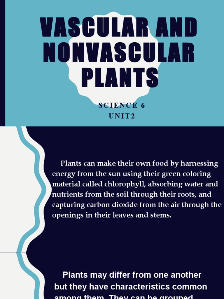 Vascular and Nonvascular Plants: Science 6 Unit2 | PDF | Science ...