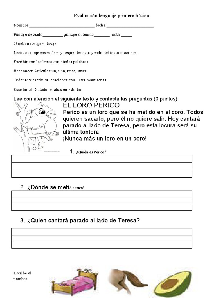 Evaluación de Lenguaje Primero Básico | PDF