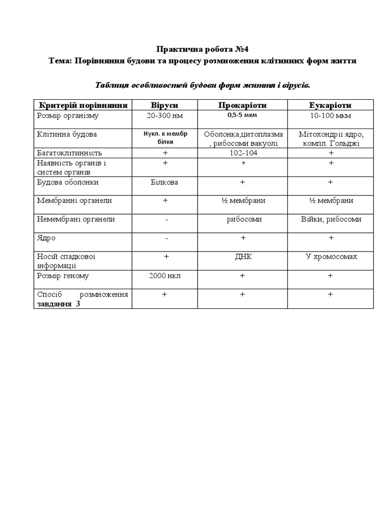 Практична робота №4 Pdf