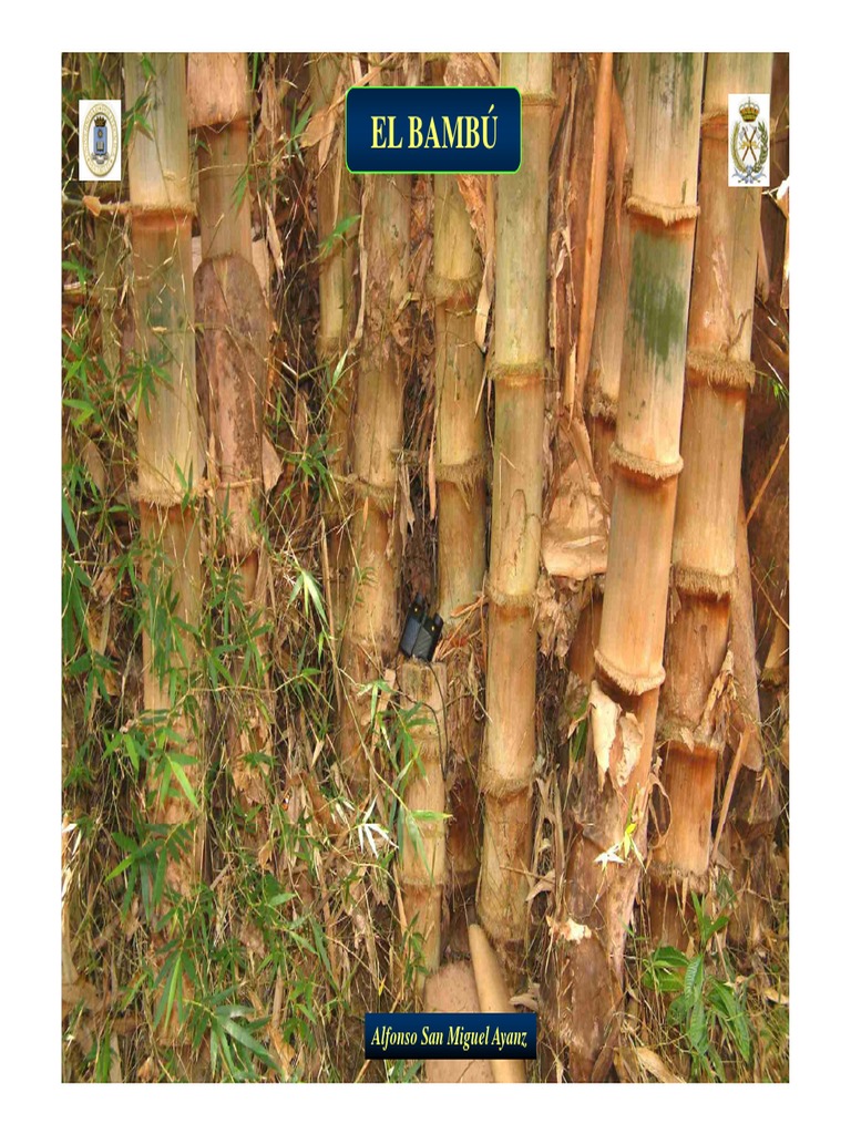 BAMBÚ. GUADUA Y ASPER. MANUAL | PDF | Bambú | Plantas