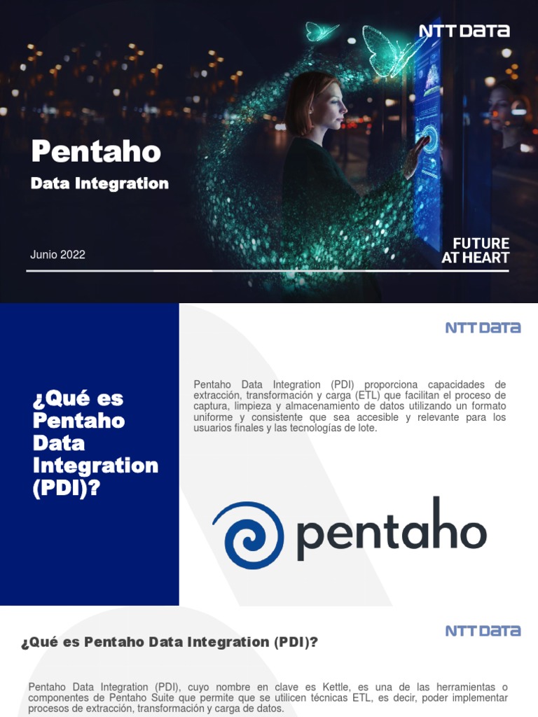 Capacitación Pentaho | PDF | Archivo de computadora | Bases de datos