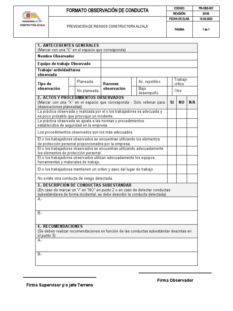 FORMATO OBSERVACIÓN DE CONDUCTA | PDF