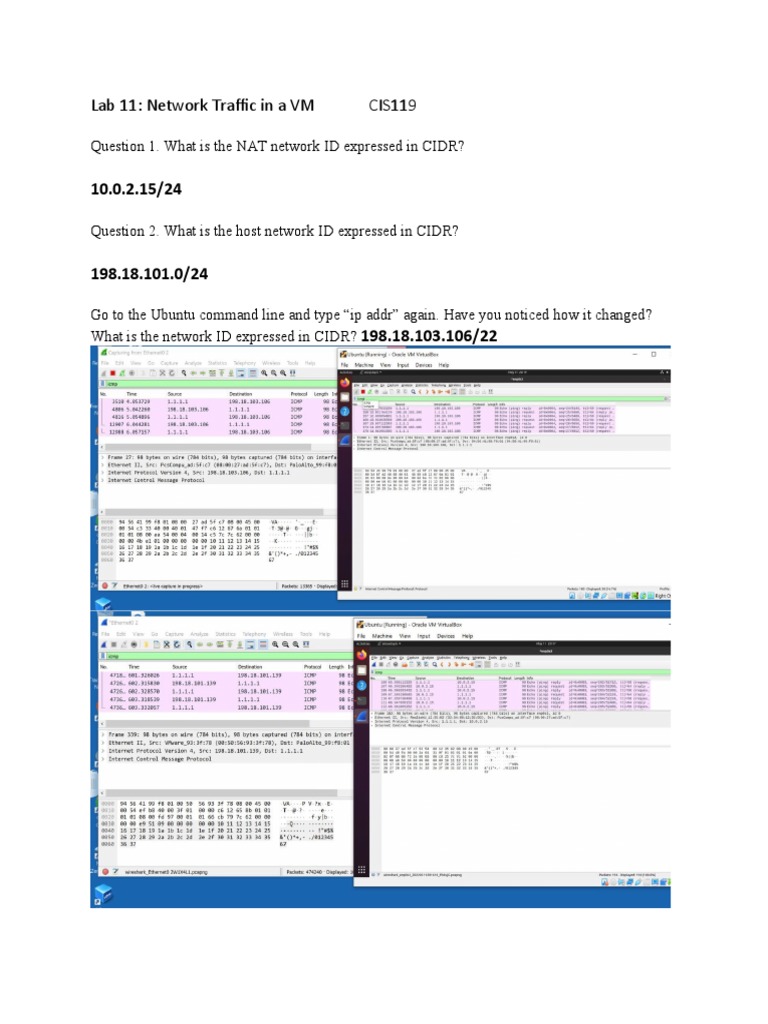 Lab 11: Network Traffic in A VM CIS119: Question 1. What Is The NAT ...