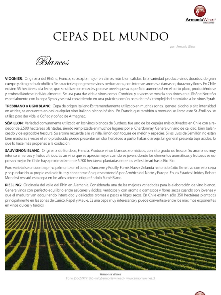 Cepas Del Mundo | PDF | Vino | Frutas comestibles